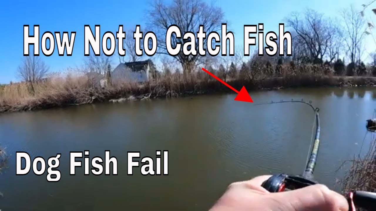 How Not to Catch Dog Fish (Fishing Fail) - YouTube