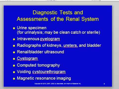 Pediatric GU and UTI's - YouTube