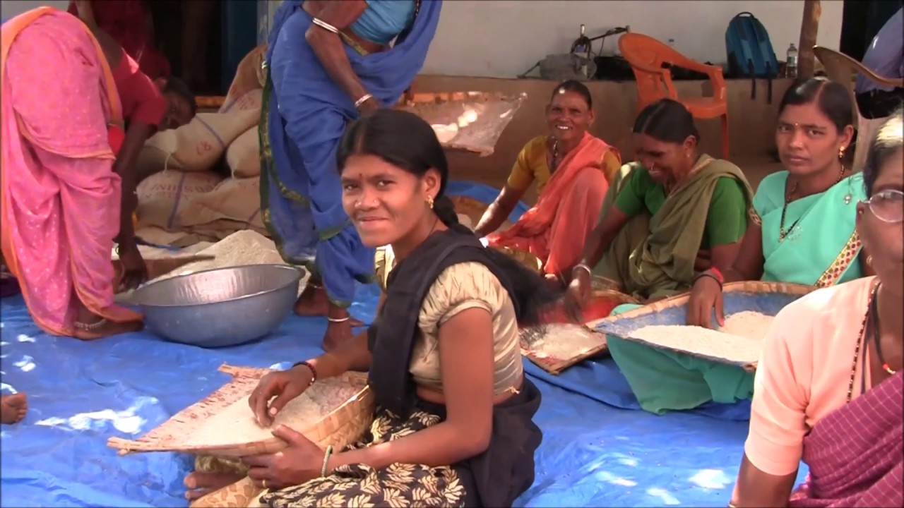 Femmes de la tribu des Gond - Festival de Gussadi État du Telangana ...