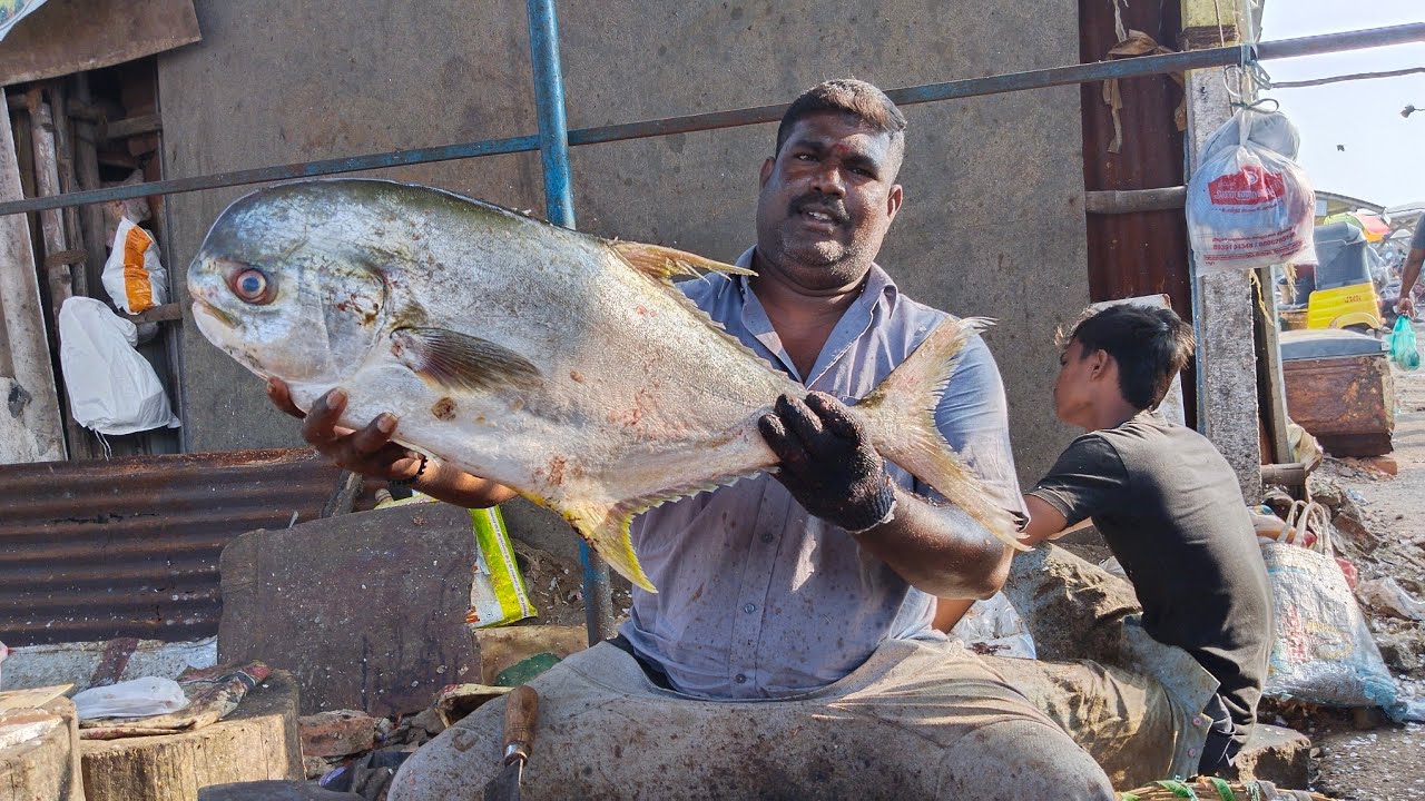 kadal viral , thukanasi fish cutting video fishcuttingrs #fishcuttingrs ...