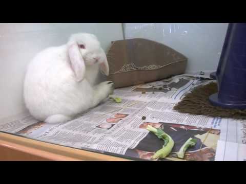 A female makes me uncomfortable and self-conscious