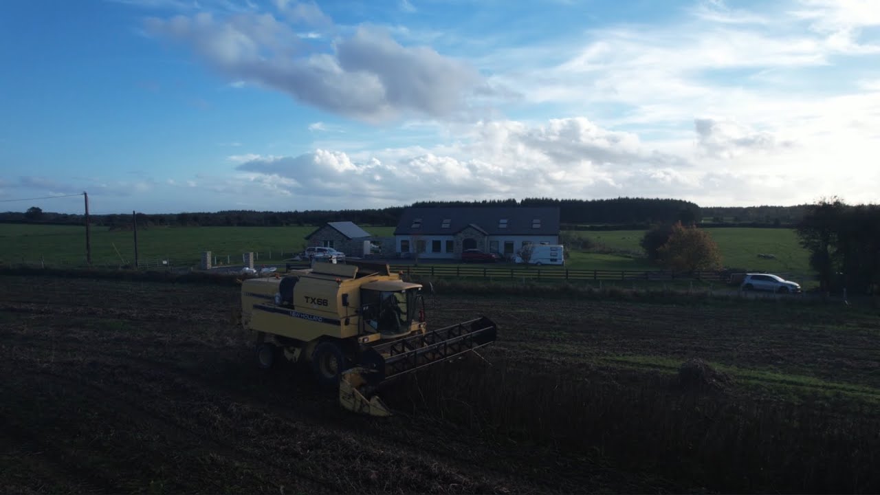 MOORE AGRI CONTRACTING ~ BEANS 2024 - YouTube