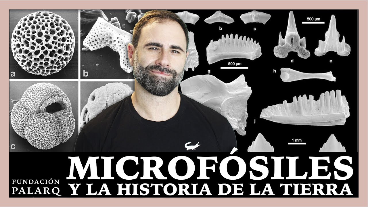 ¿Cómo los Microfósiles Desvelan el Pasado Oculto de la Tierra? - YouTube