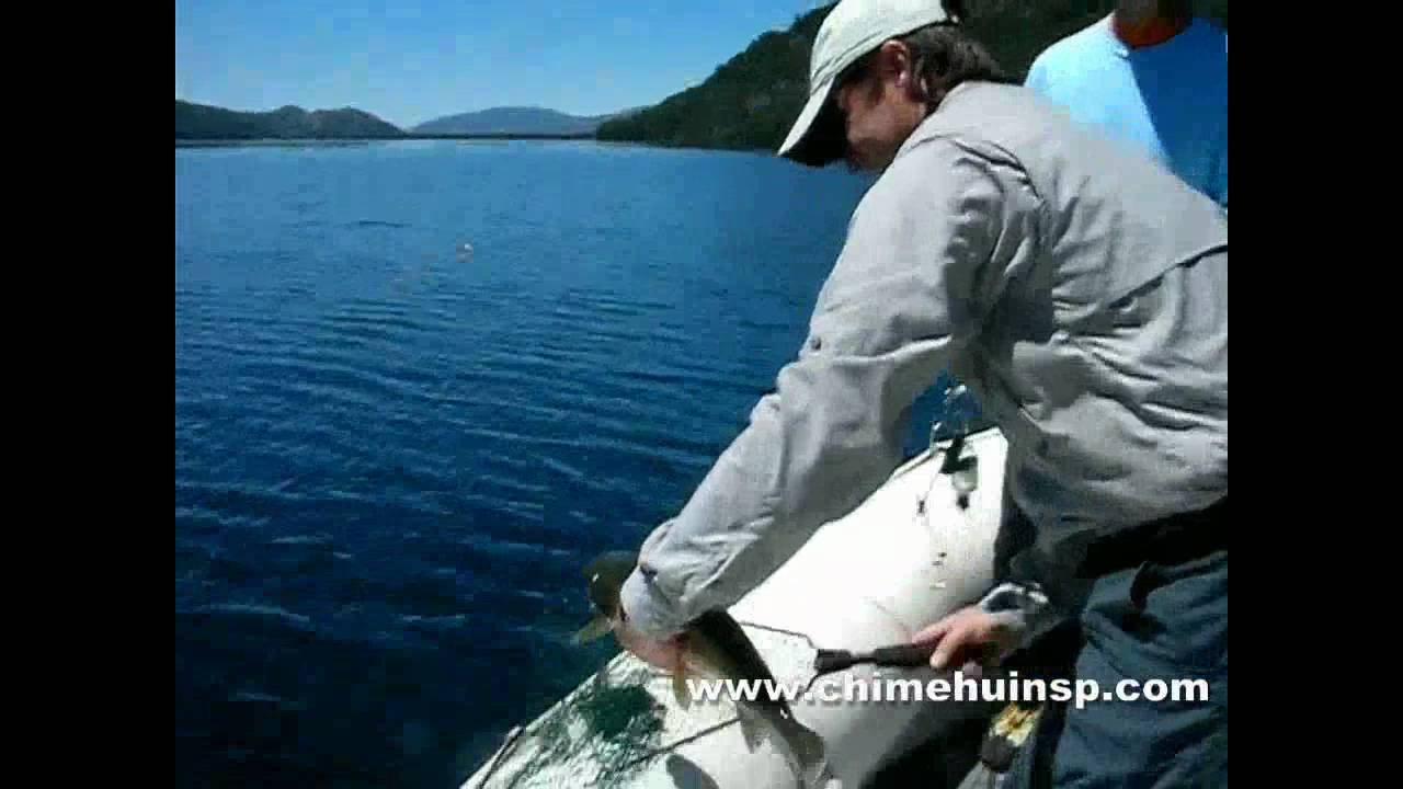 Fly Fishing with Rahm Emanuel in Patagonia Argentina - Sight Fishing in ...