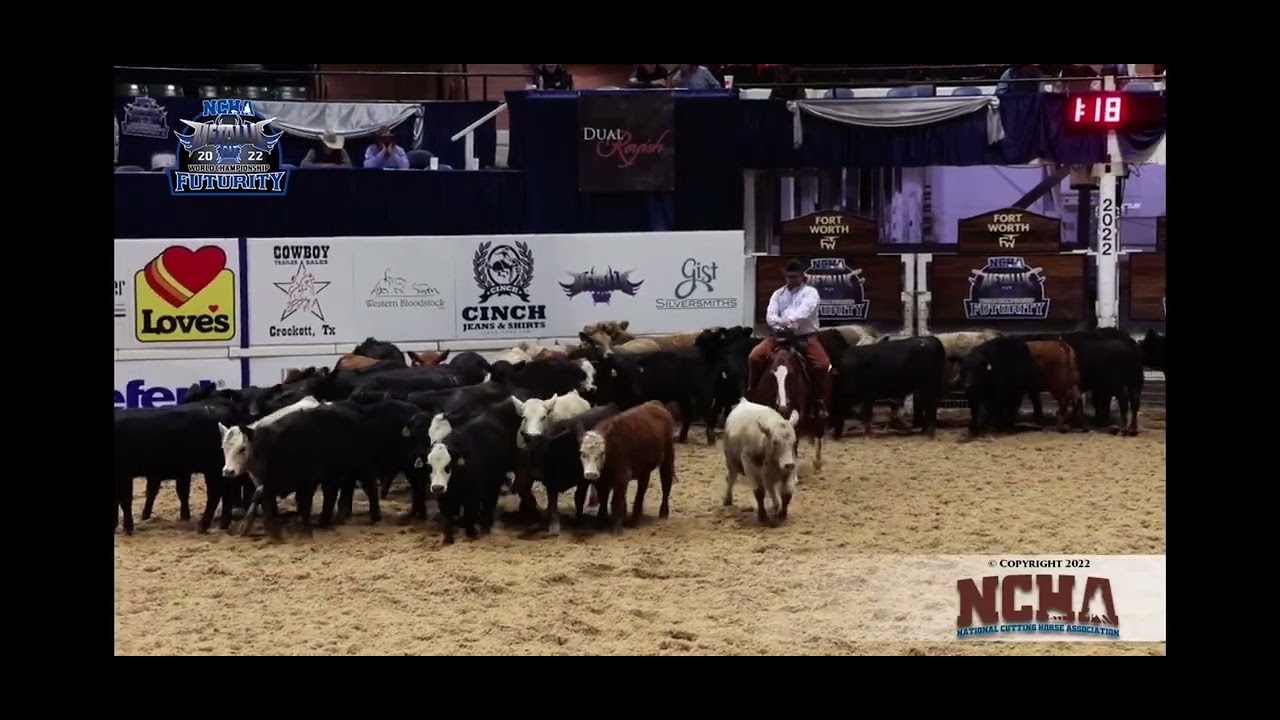 Mr Beez Cash shown by Joe Borjon - YouTube