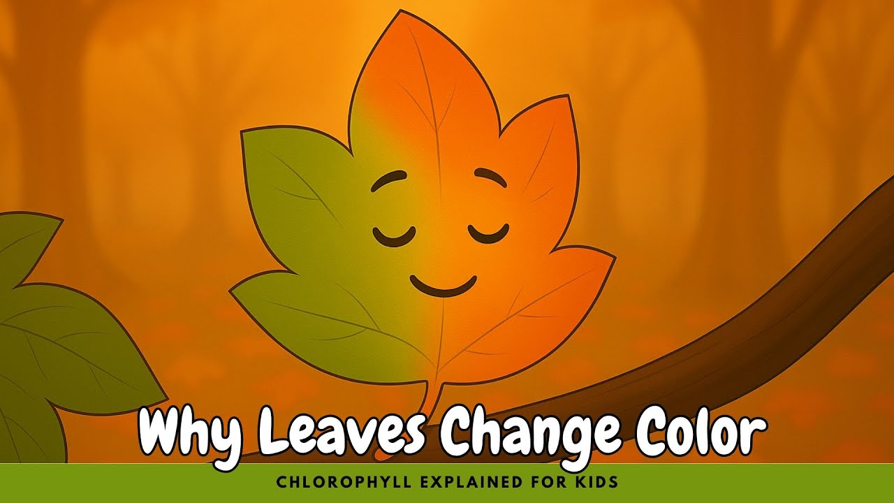 Why Leaves Change Color | Chlorophyll Explained for Kids | Fun Science ...