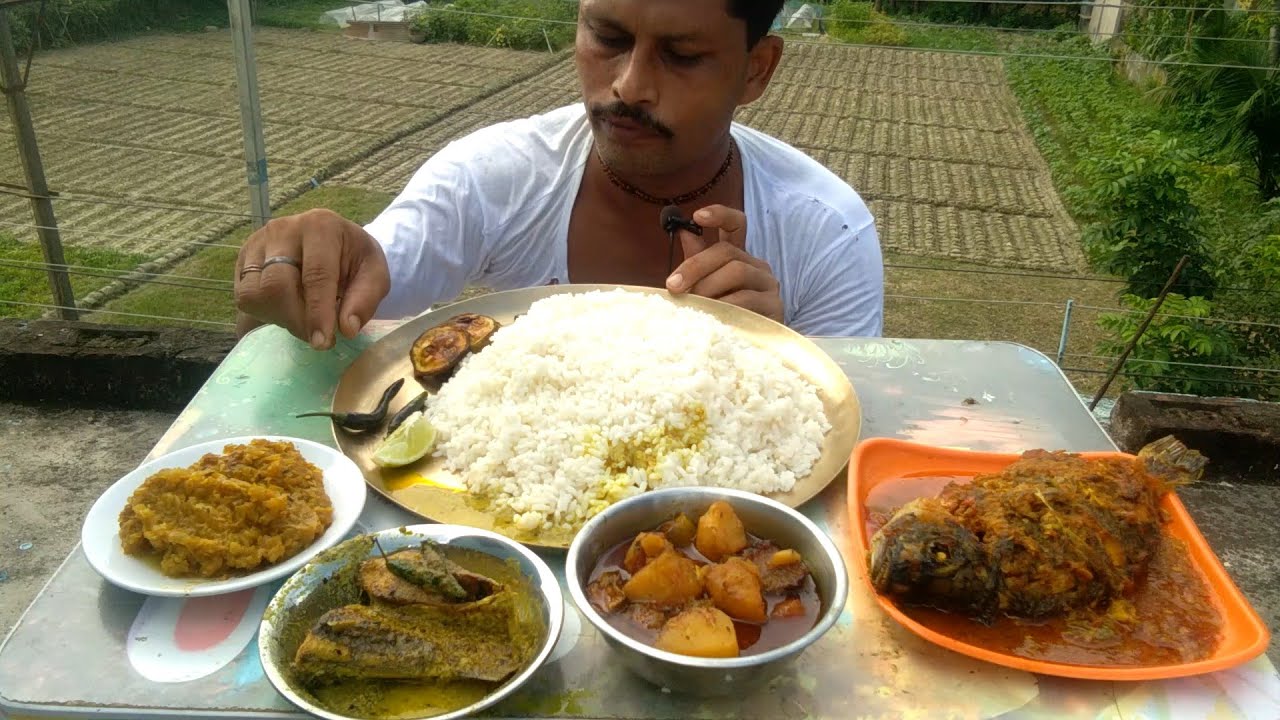 Rice Master Eating - Full Tilapia Fish - Sorse Ilish - Shrimp ...