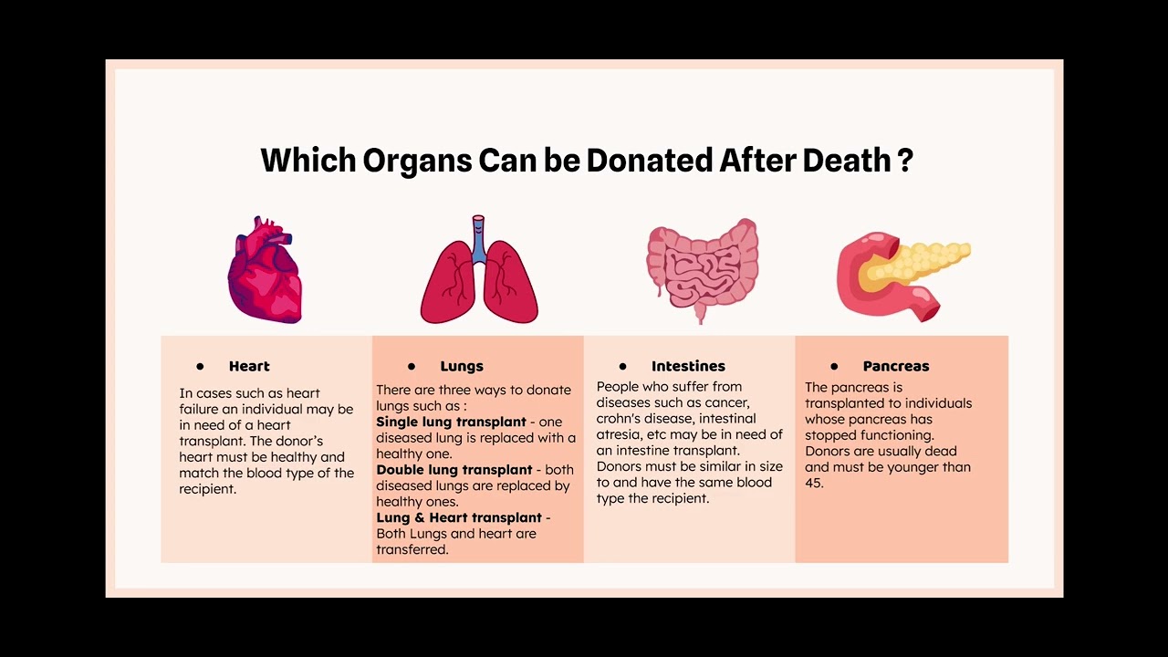 Krizia L Keiser Memorial Foundation Scholarship 2025 - YouTube