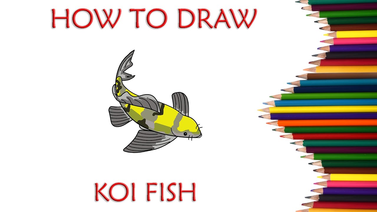 How To Draw Koi Fish Step By Step | Easy Drawing - YouTube