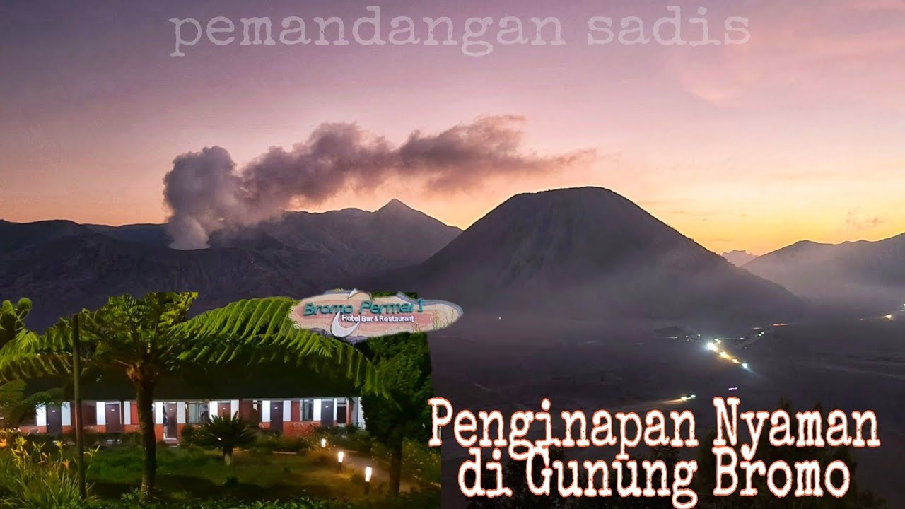 Penginapan di Bromo dengan Pemandangan Indah | Review Harga | Bromo ...