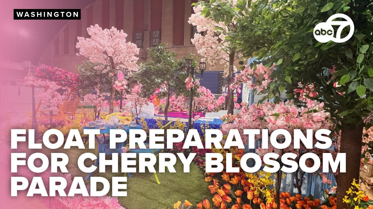 National Cherry Blossom Festival Parade floats get final touches - YouTube