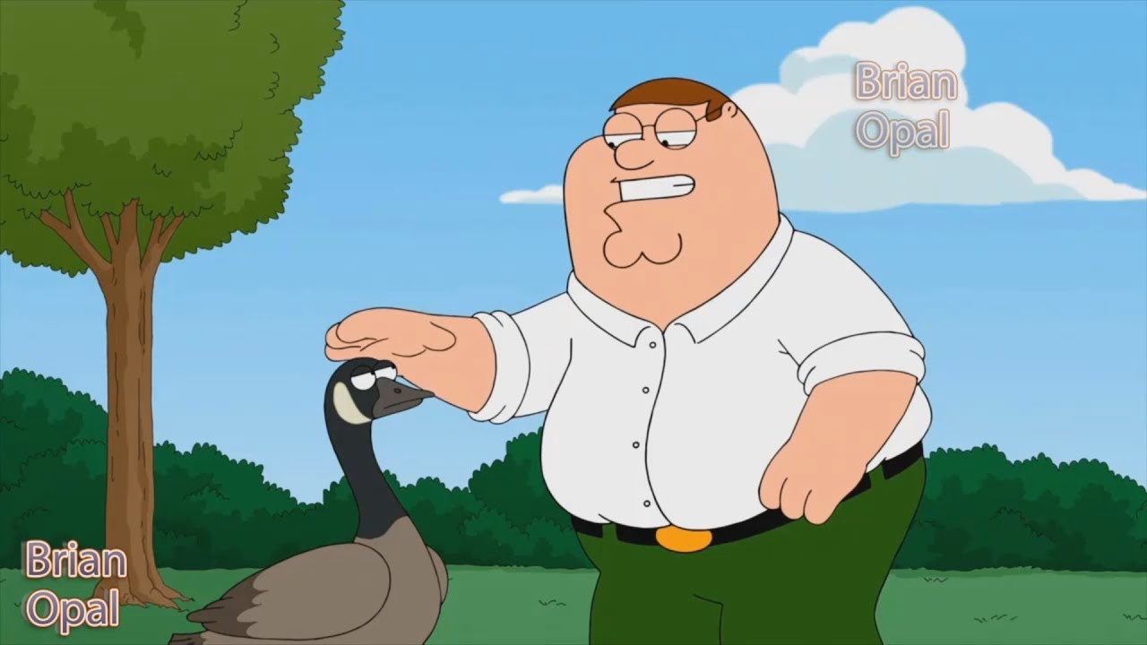 Family Guy - Peter rubbed the duck's head - YouTube