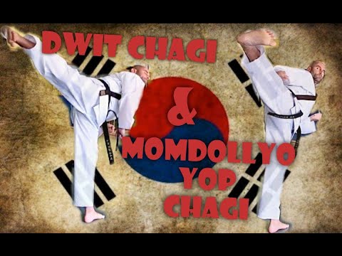 Dwit Chagi und Momdollyo Yop Chagi - YouTube