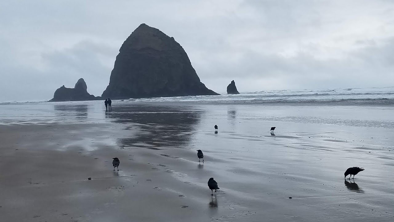 Cannon Beach, Oregon Coast January 2023 - YouTube