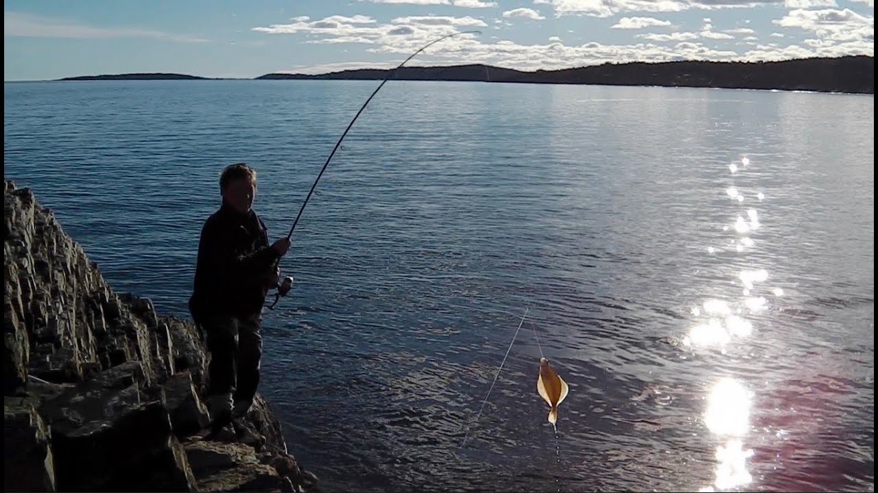 Fiske av sei, hyse og flyndre - YouTube