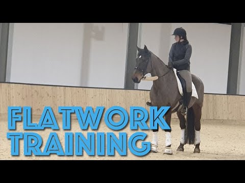 Flatwork Training // NEW INDOOR ARENA - YouTube