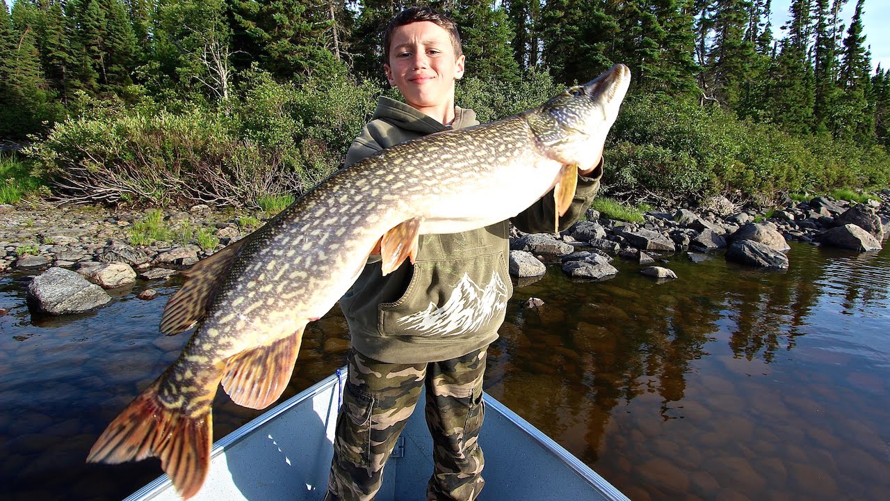 TROPHY LAC EVANS PIKE - YouTube