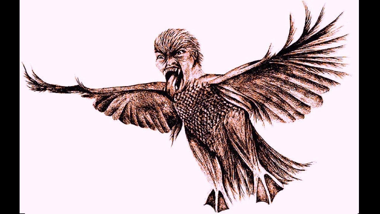 Ong, The Great Man-Eating Bird: A Washoe Legend - YouTube