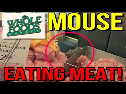 Mouse Eating Meat in NYC Whole Foods - YouTube