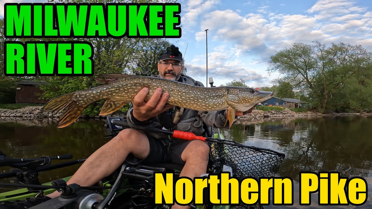 Milwaukee River Fishing - Northern Pike - YouTube
