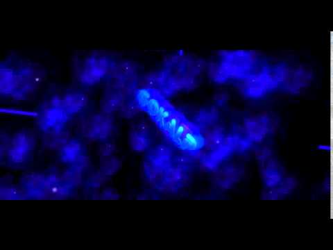 Gökalp Şahin//İNTRO// JB