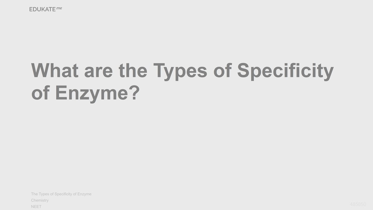 What are the Types of Specificity of Enzyme? - YouTube
