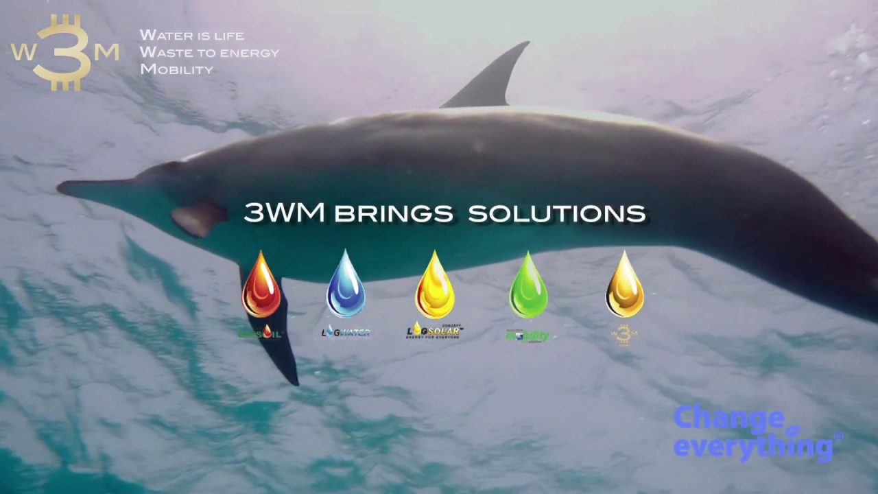 3WM Group activities presentation - YouTube