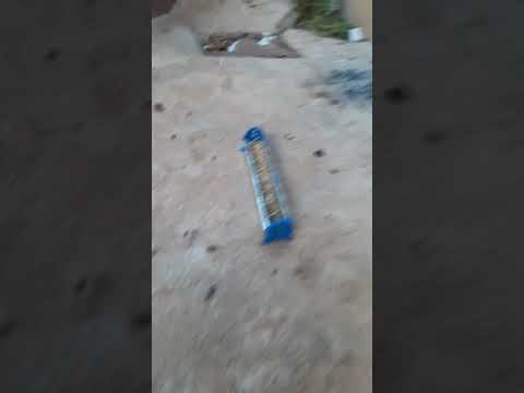 tavuklara üfleyen adam.sadık dostlar hayvanlar