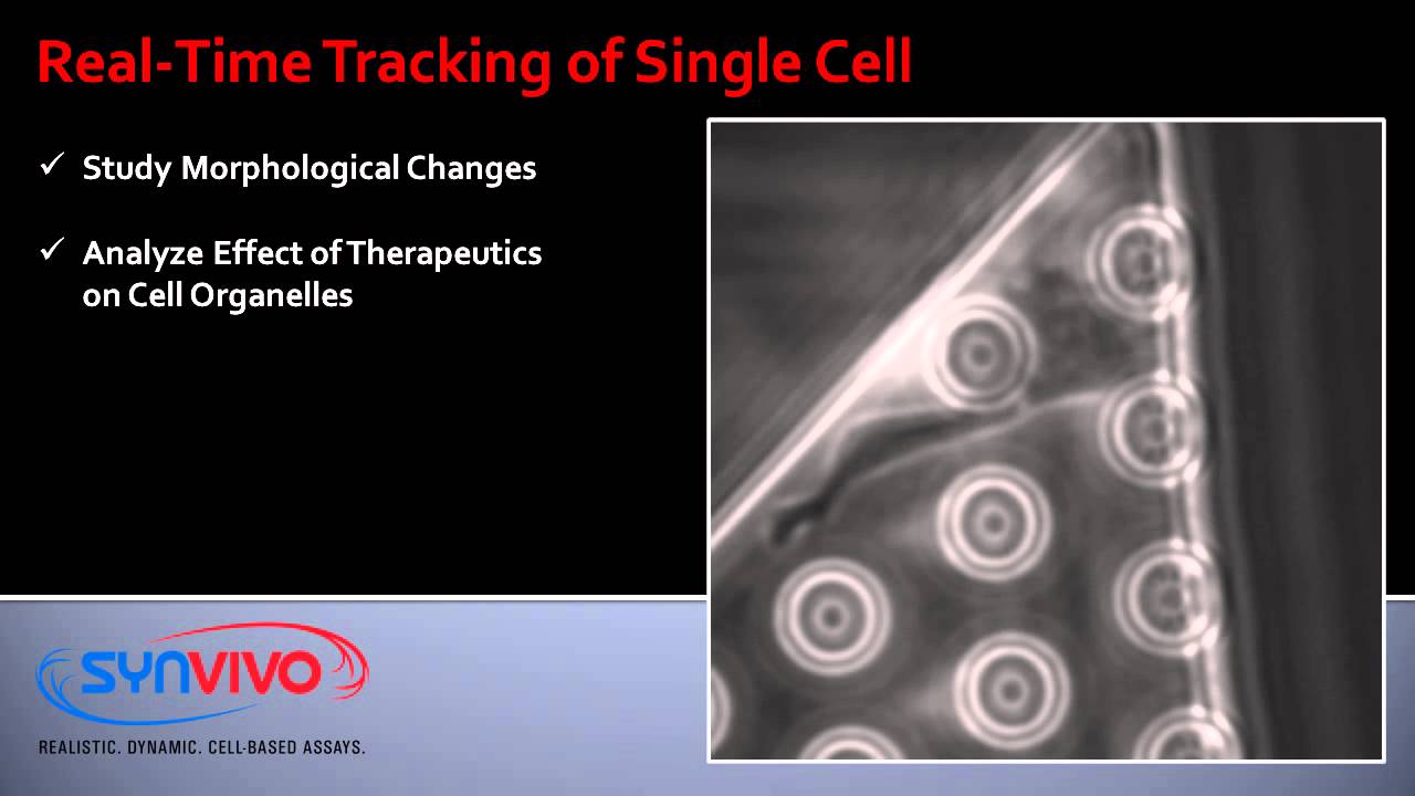 Real-Time Tracking of Single Cell - YouTube