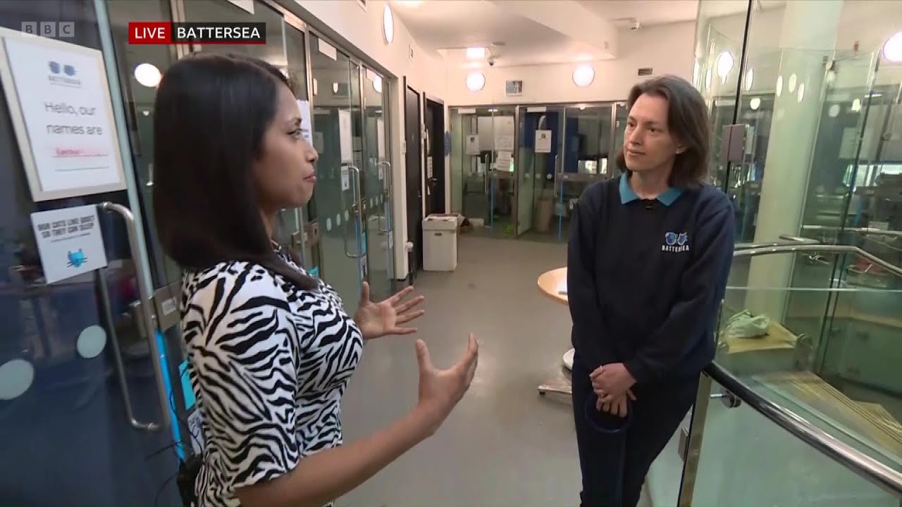 Luxmy Gopal - BBC London News 10Jun2024 - YouTube