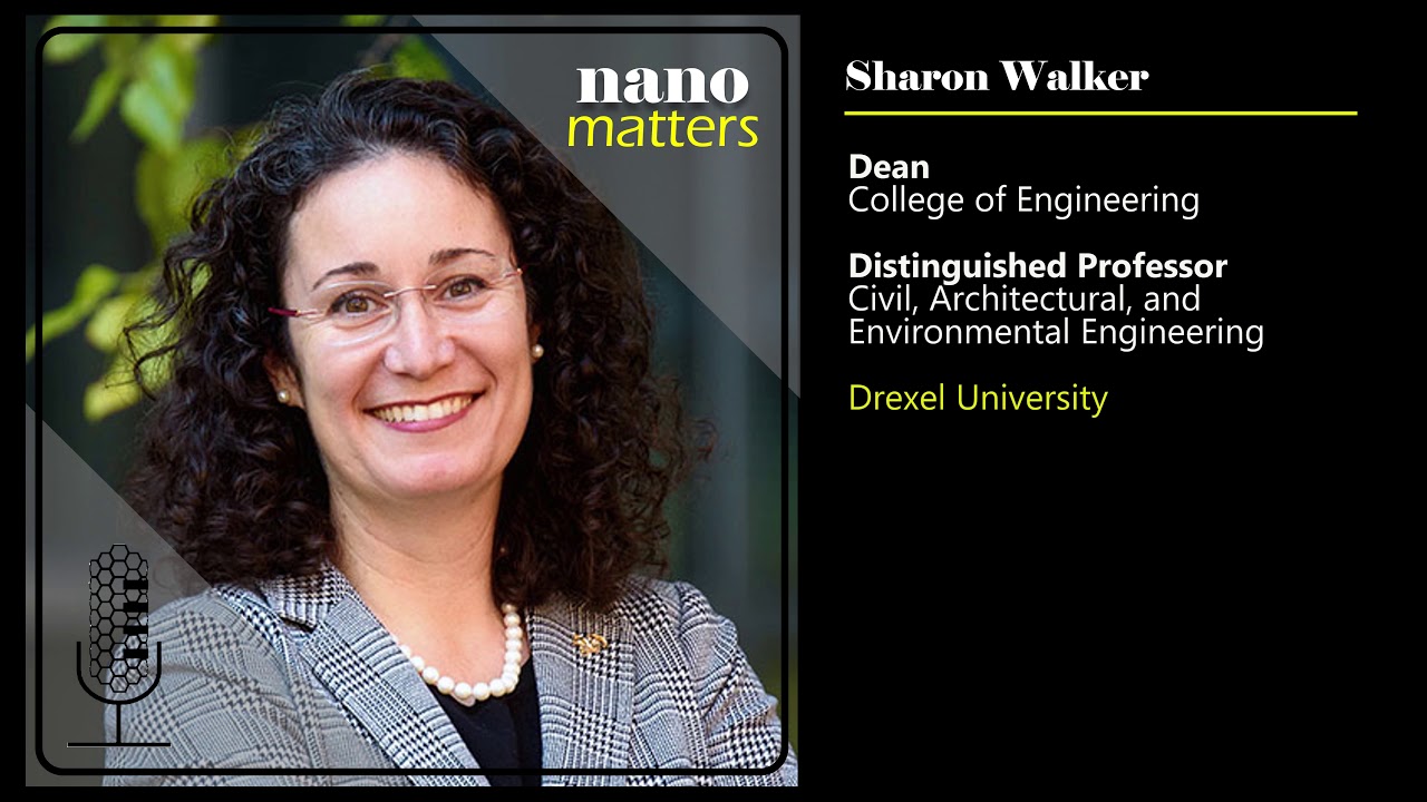 The Growth of Nanotechnology Through Interdisciplinarity: A ...