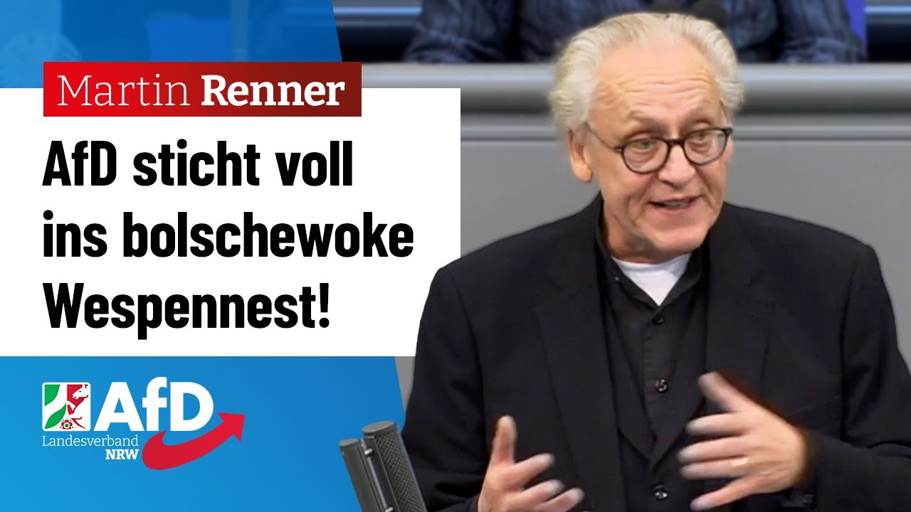 AfD sticht voll ins bolschewoke Wespennest! – Martin Renner (AfD) - YouTube
