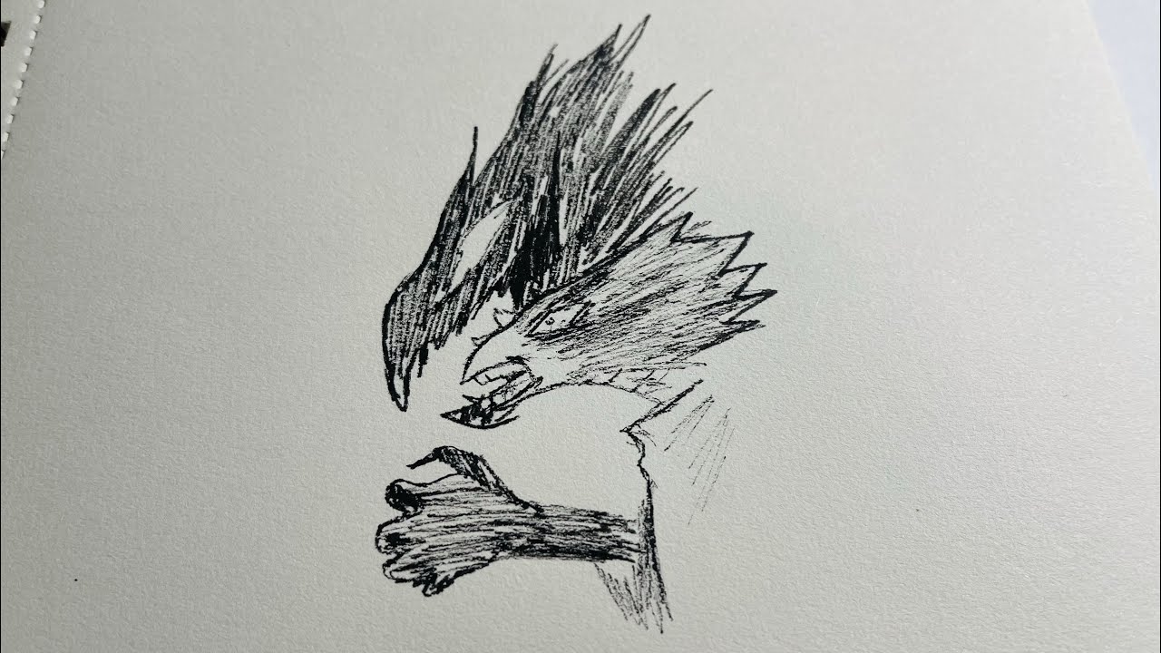 How to draw Tokoyami in 4 minutes - My hero academia (step by step ...