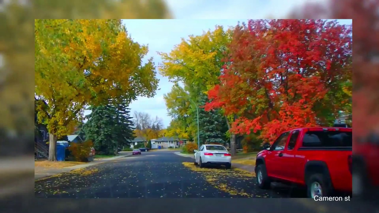 2017-10-01 Regina today (Autumn leaves) Fall, Changing colors - YouTube