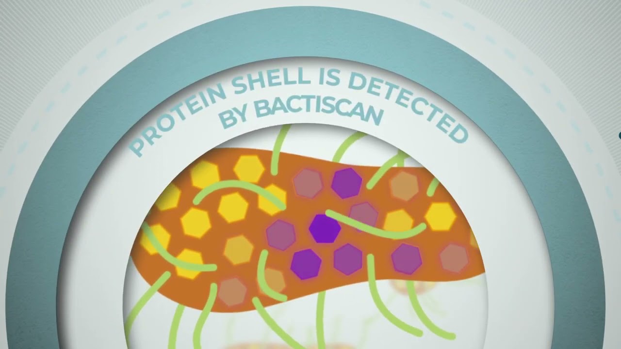 How Bactiscan Works To Effectively Detect Bacteria & Biofilms Fast & At ...