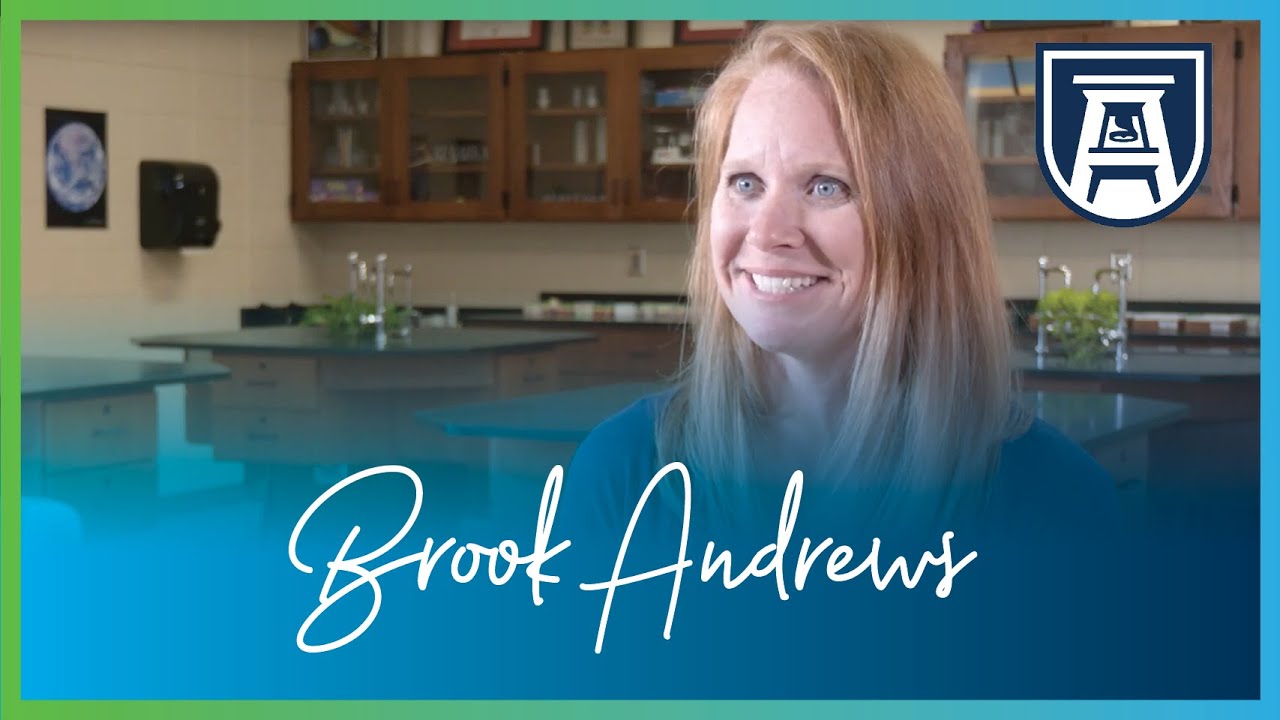 Empowering minds, shaping futures: 20 Years of impact with Brook ...