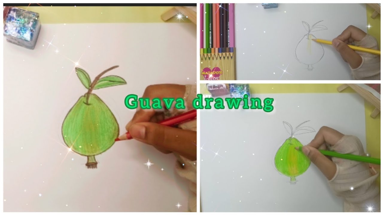How to draw a guava/How to draw aguava step by step#easyart#draw#guava# ...