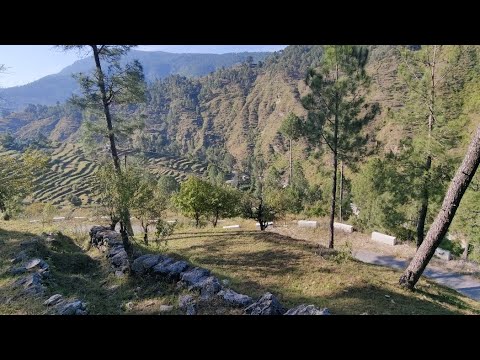14 NALI ROAD SIDE LAND AVAILABLE IN KAURAV (NAINITAL) - YouTube