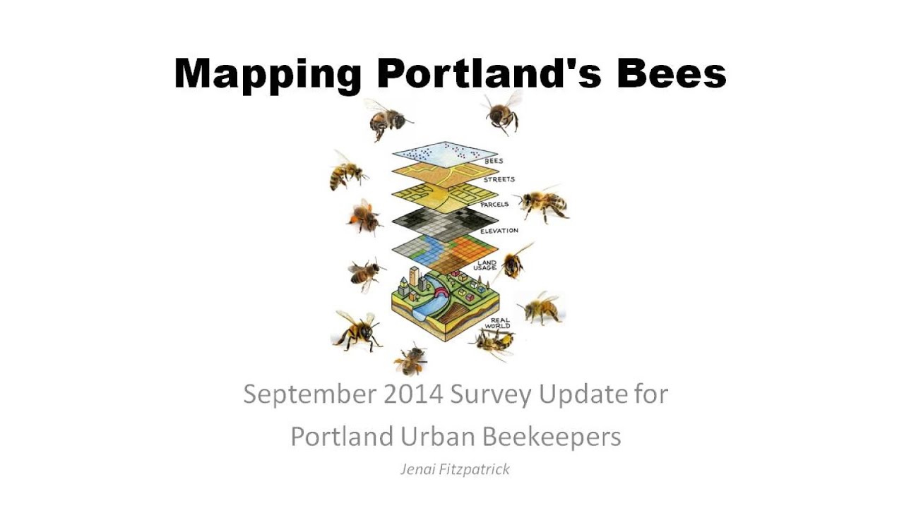 Mapping Portland's Bees - 2014 Survey - YouTube
