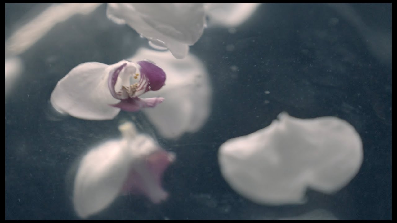 《FLOAT》 - YouTube