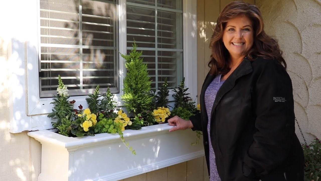 Snapdragons & Begonias in a Window Box ~ birdhouse garden - YouTube