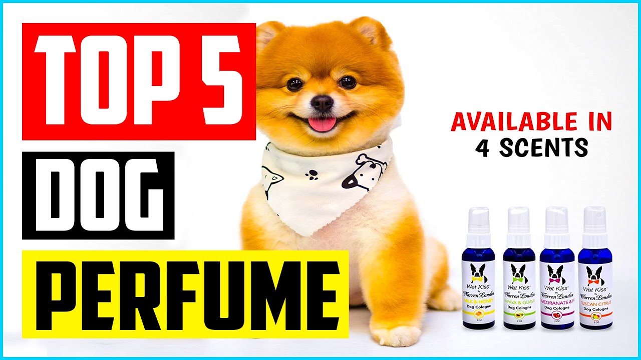 Top 5 Best Dog Perfume in 2022 Reviews - YouTube