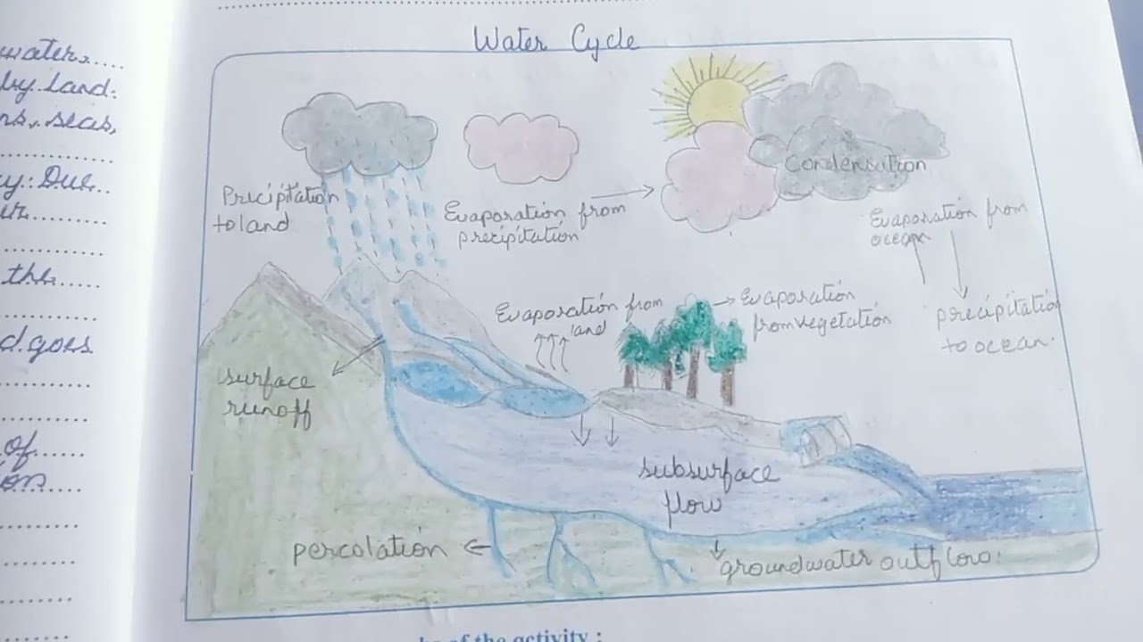 Water Security Class 9 - Activity 1 - Water Cycle - YouTube