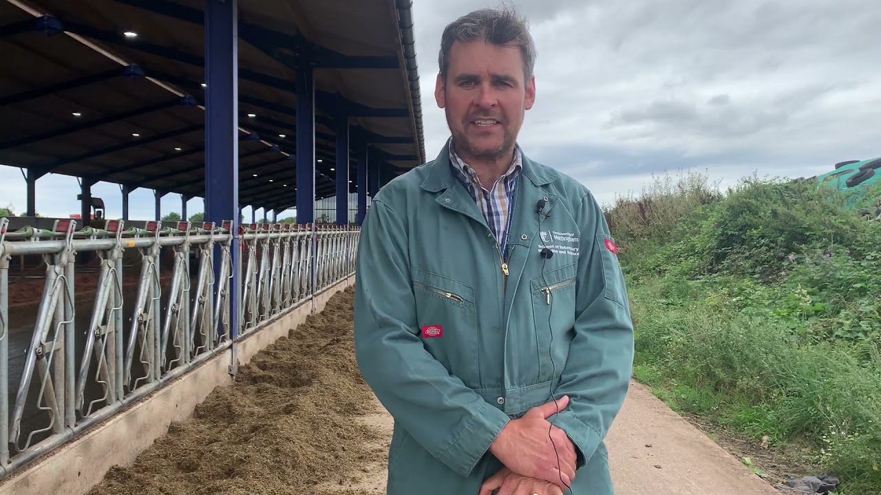 Fertility improvements for impact - James Breen update - YouTube