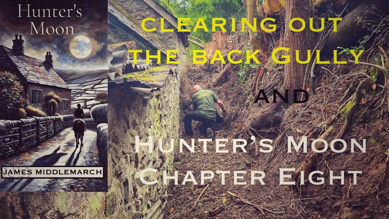Clearing out the Back Gully and Chapter Eight of Hunter's Moon - YouTube