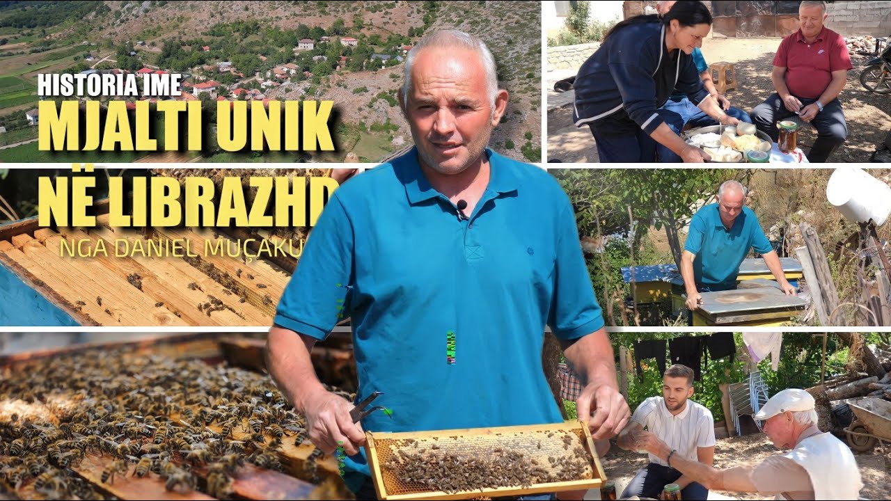 Mjalti BIO i Librazhdit/ Historia e Xhezmir Kalecit: Fushë-Studen një ...