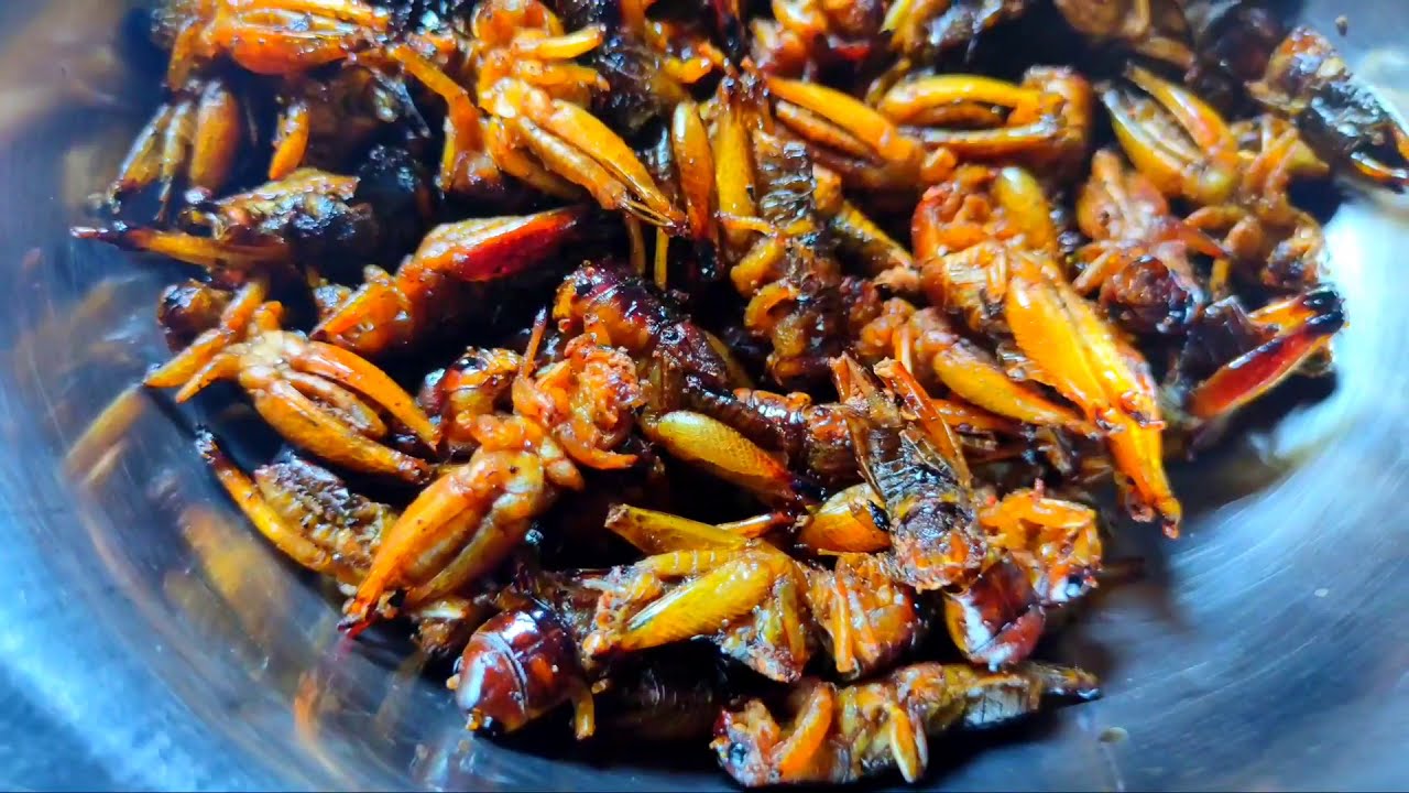 Crunchy Cricket fry - YouTube