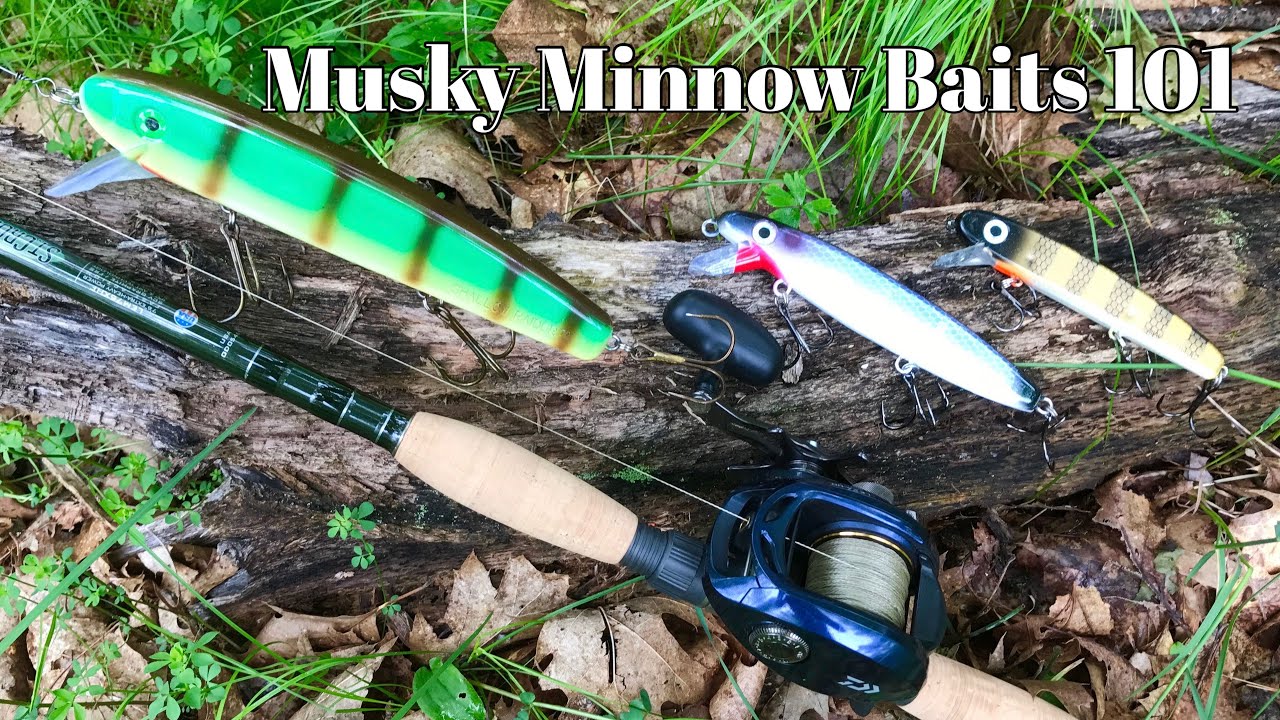 Musky Minnow Baits 101 - YouTube