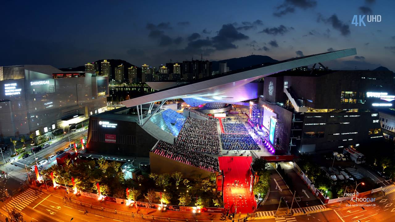 Busan International Film Festival Logo