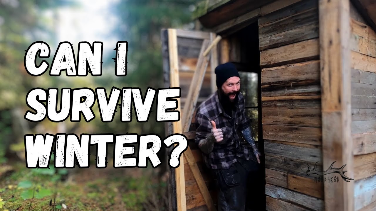 Can I survive winter in a wrecked log cabin? Off Grid living - YouTube